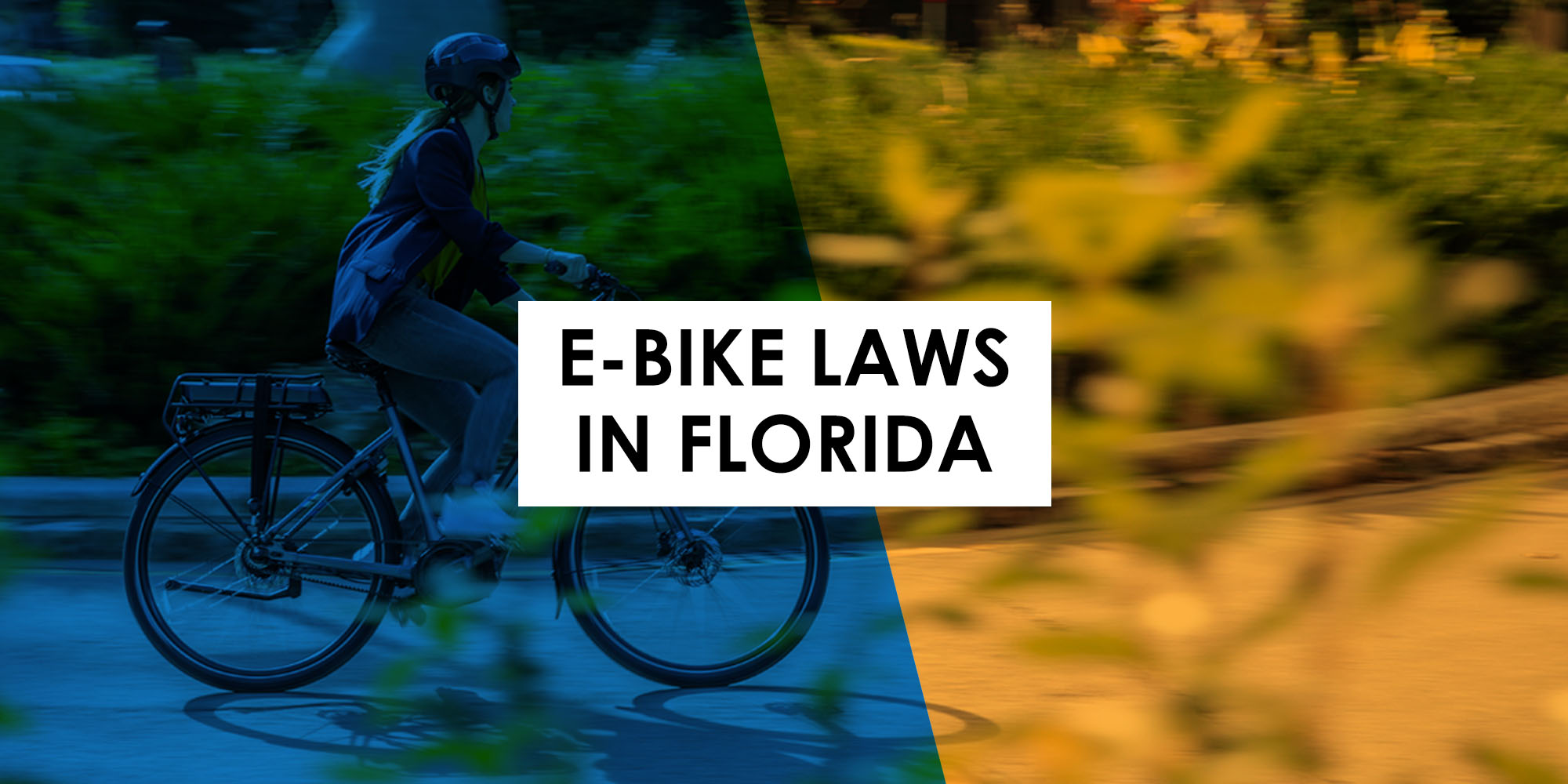 E Bike Laws In Florida Bikes Palm Beach